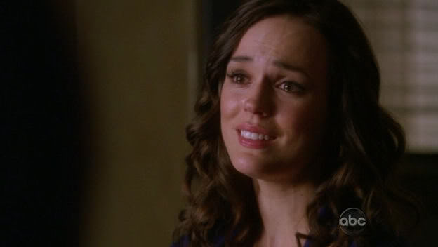 Henshin Grid: Attractive Actress: Erin Cahill