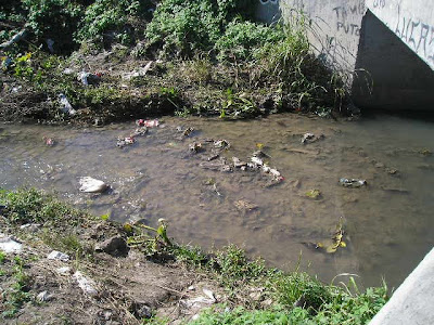 eco najugo: Lacuenca del Rio Matanza-Riachuelo