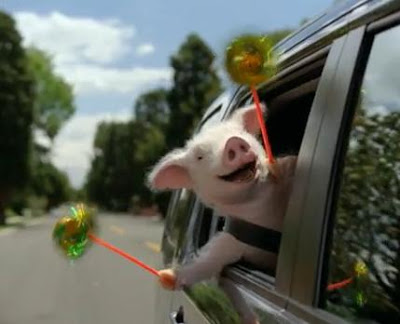 Apron Senorita: Pink Saturday ~ Piggy Weeeeee