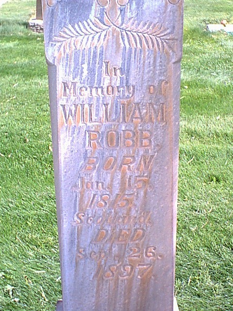 William Robb and Helen Bell: William Robb and Ellen Bell and Susannah ...