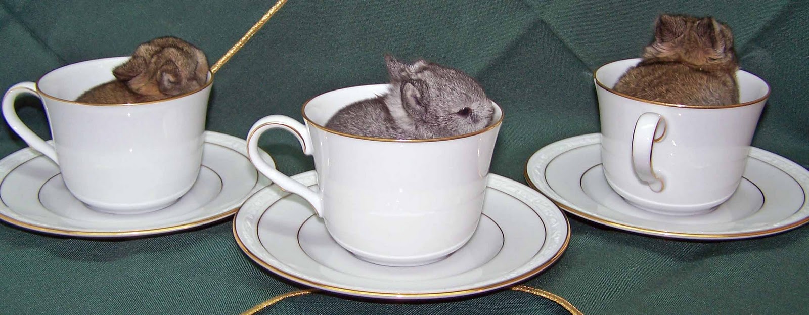 Avoiding The Laundry A Cuppa avoiding-the-laundry-a-cuppa
