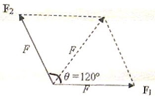 AP Physics Resources: Multiple Choice Practice Questions on Vectors ...