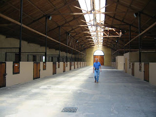 Geriatric Gapper: Wellington and Scone