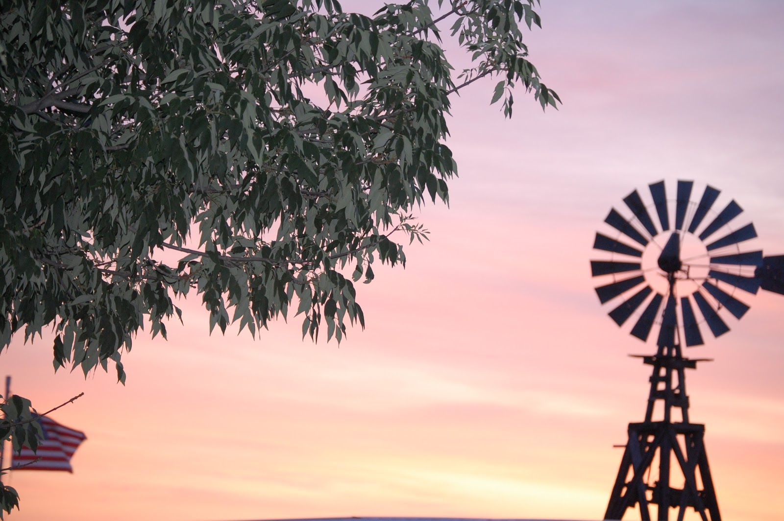 Dunlap Photography: Windmill