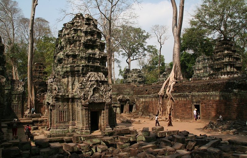 Kintall: NATURE - The world's most popular Neagari