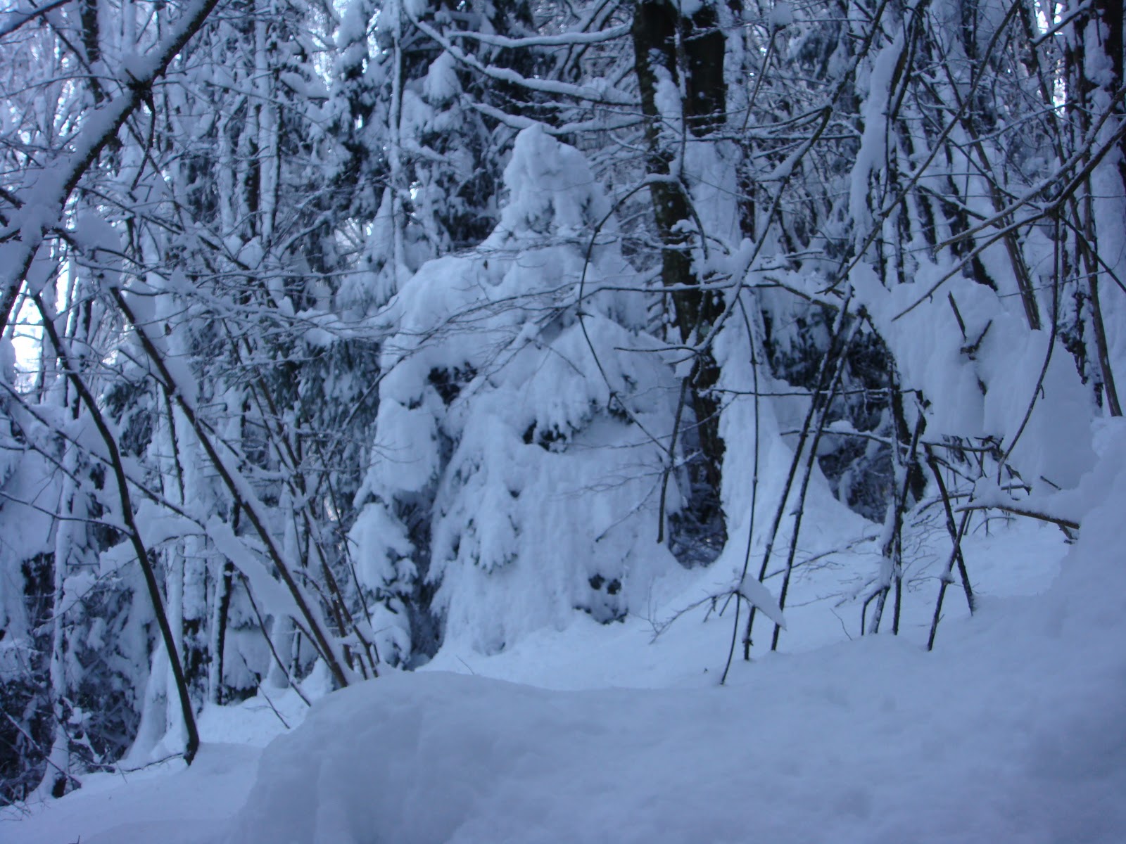 unbrivido: L'uomo delle nevi ... Yeti ...