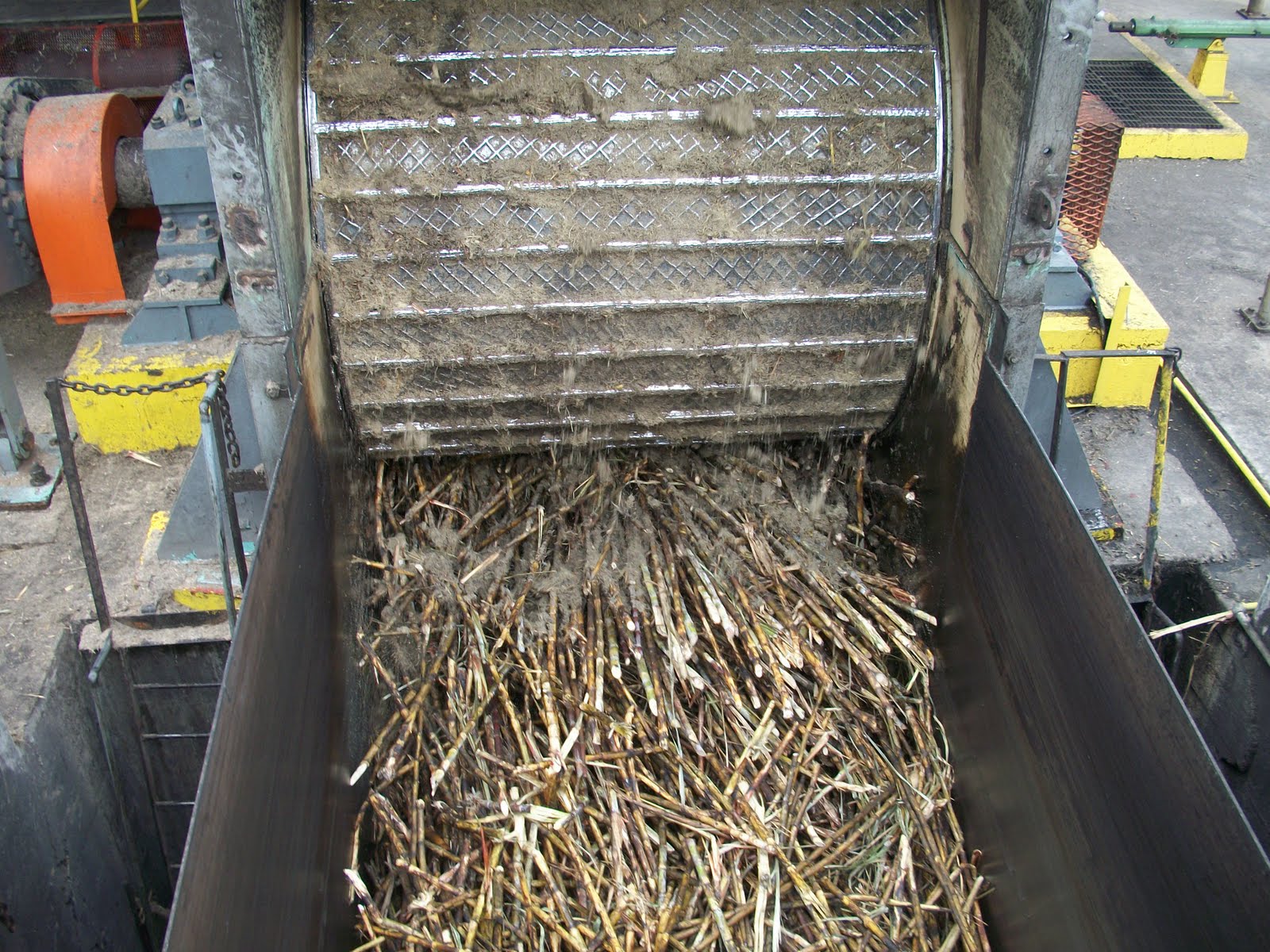 Leaning on the Everlasting Arms: Our Field Trip to the Sugar Factory