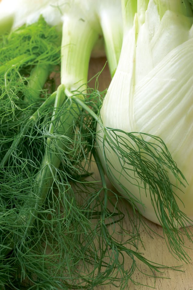 La Tavola Marche Recipe Box: Fennel & Blood Orange Salad