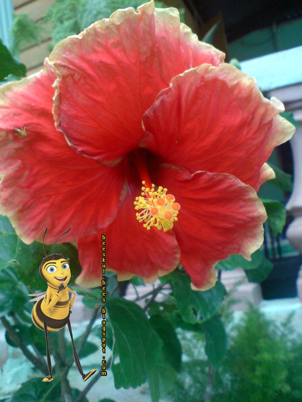 PerJaLANan: Semerah Ros & Raya