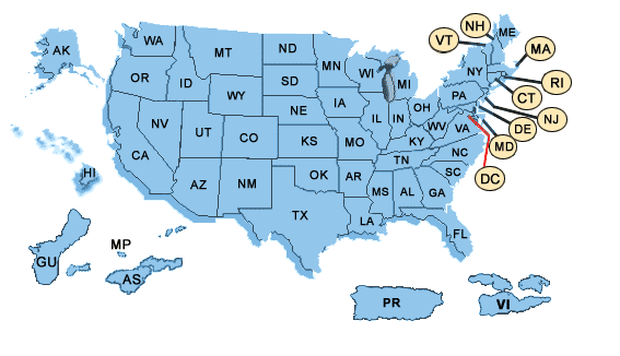 Automobile Insurance Quotes - Get Inexpensive Auto insurance ...