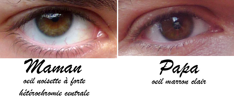 Histoire de génétique