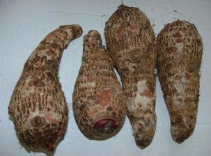 Pacis en Terra: Gardening in Costa Rica: Edible Landscaping ...