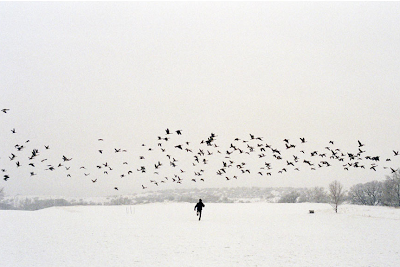 ELEVEN SWANS: October 2009