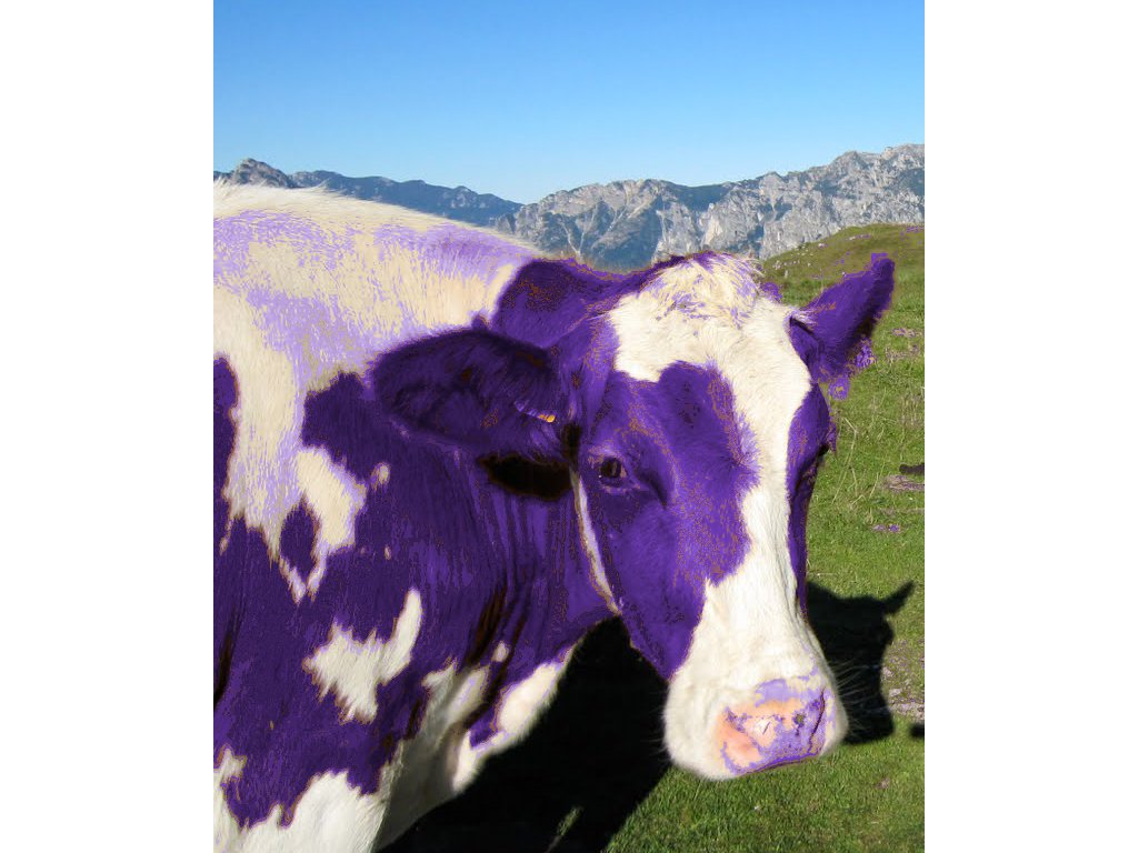 Si fa presto a dire Master: Maratona alpina???