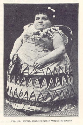 THE BIGGEST FATTEST BLOG: ANTHROMORPHOLOGY, MY VERY OWN STUDY OF ALL ...