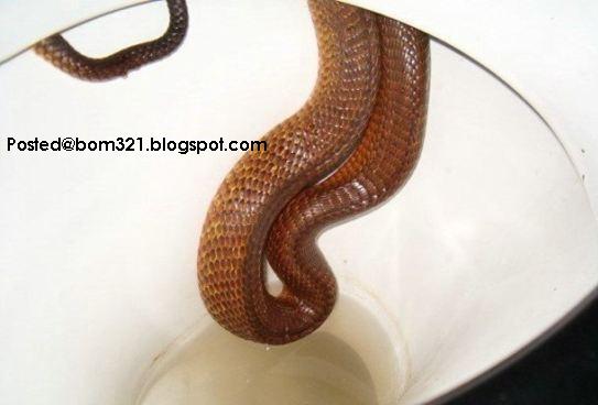 Edisi Hiburan: 06/26/10