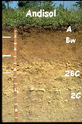 Chemistry... So Close.. So Real: DEBU VULKANIK ADALAH BERKAH. BENARKAH?