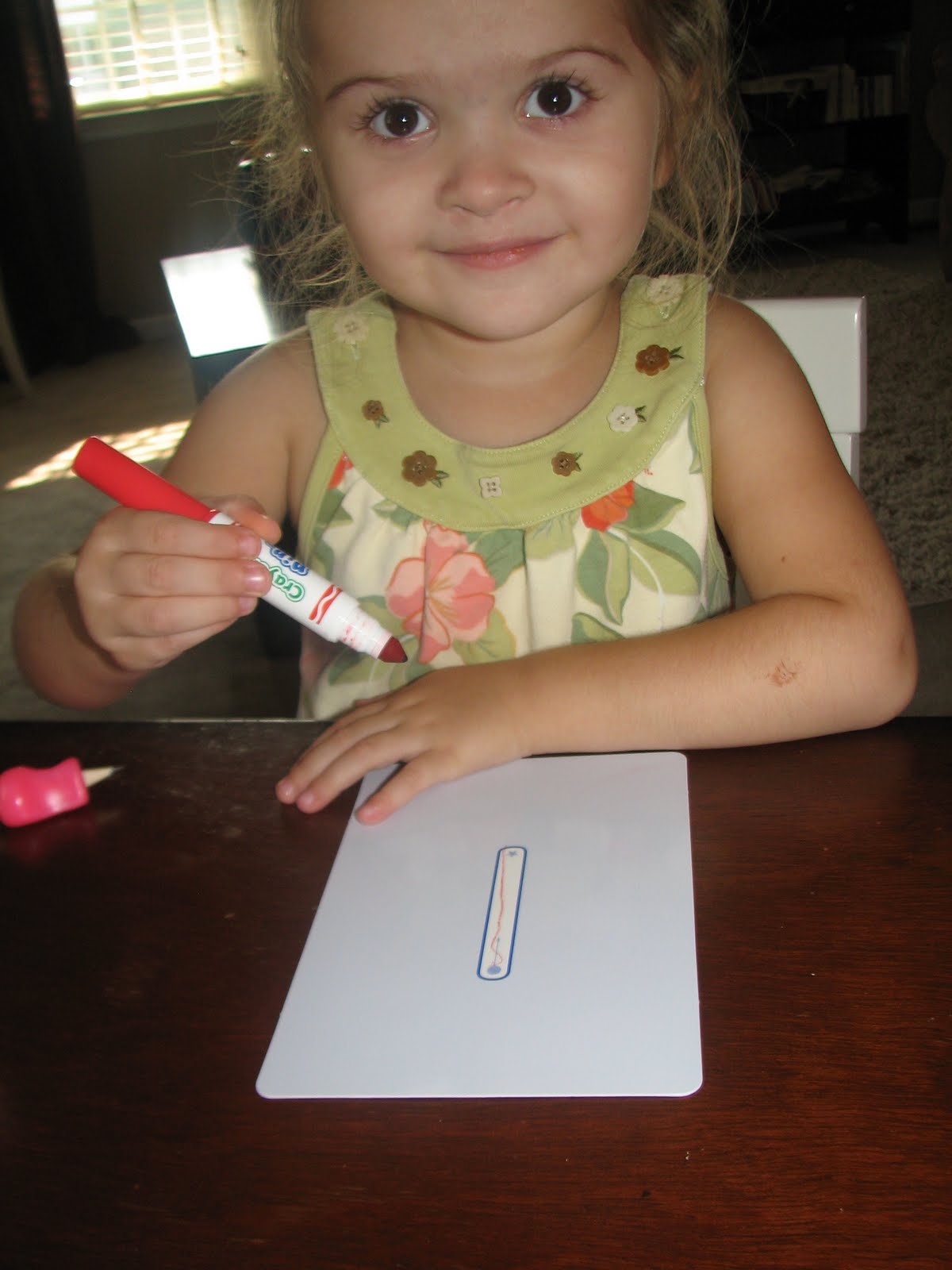 Izzie, Mac and Me: Preschool: Letter I and Number 1 Unit
