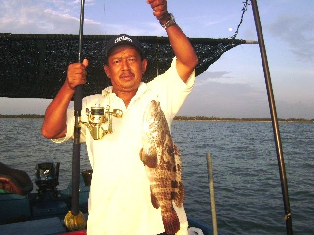 SewaBotPancing: Sewa Bot Pancing