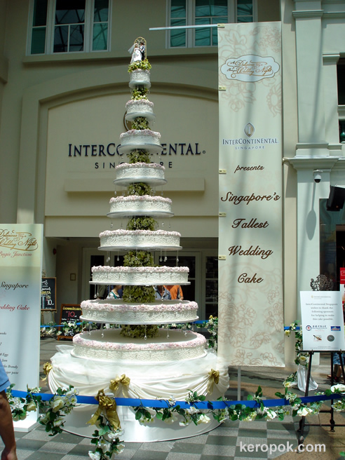 World's Biggest Cake | World’s Tallest Cake Unveiled in China | cake ...