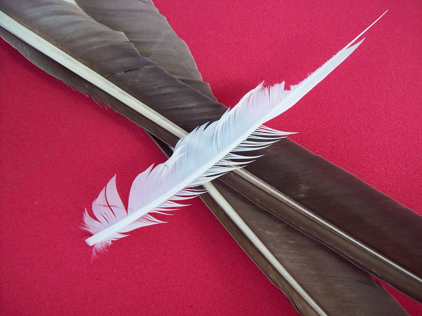 EL BLOG DEL ATADO ALTERNATIVO: Los Biots