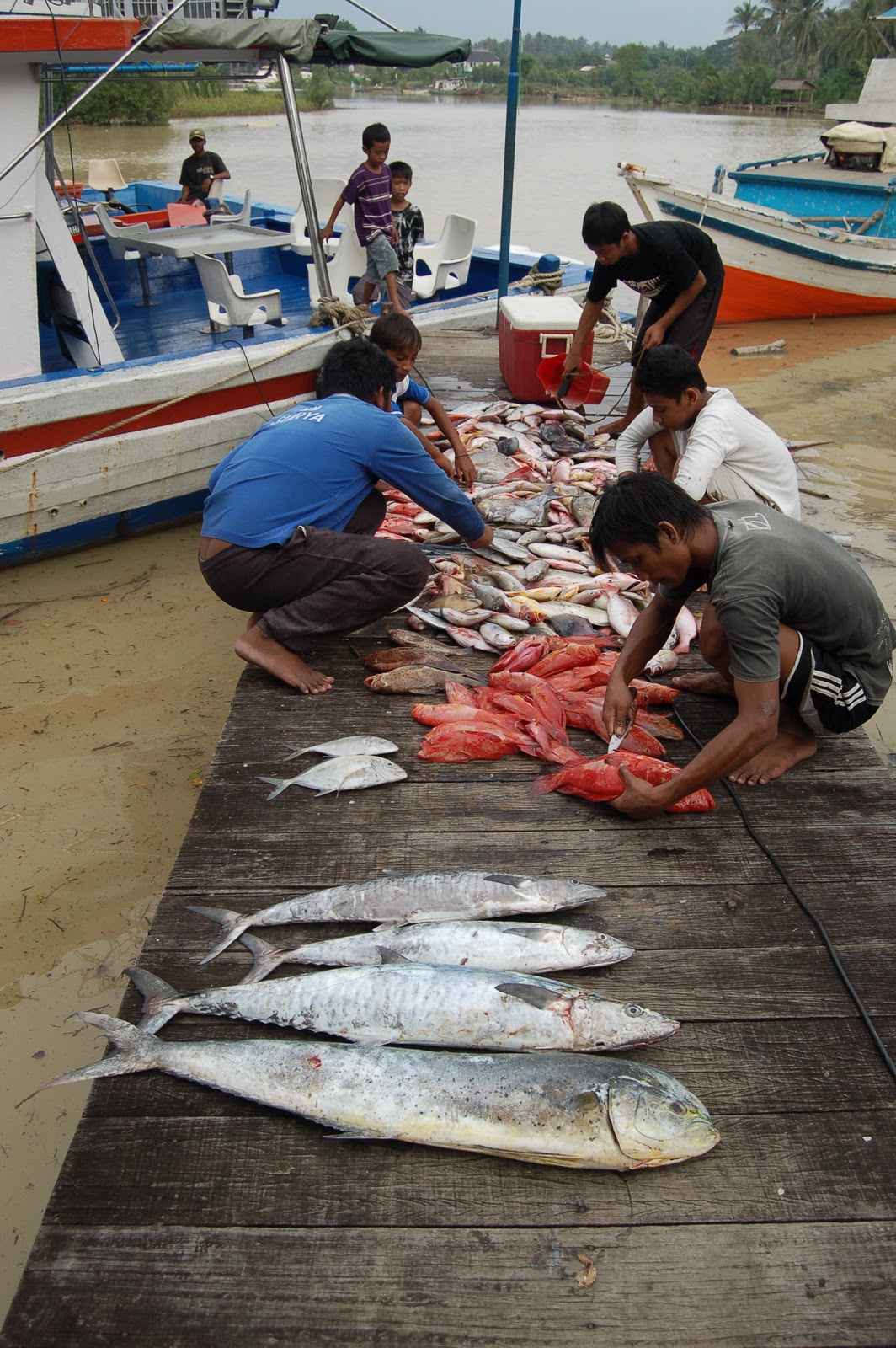 Fishing in Indonesia: Photo