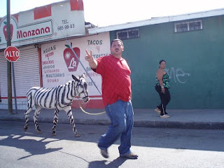 Tamerlane's Thoughts: Tijuana Zebras