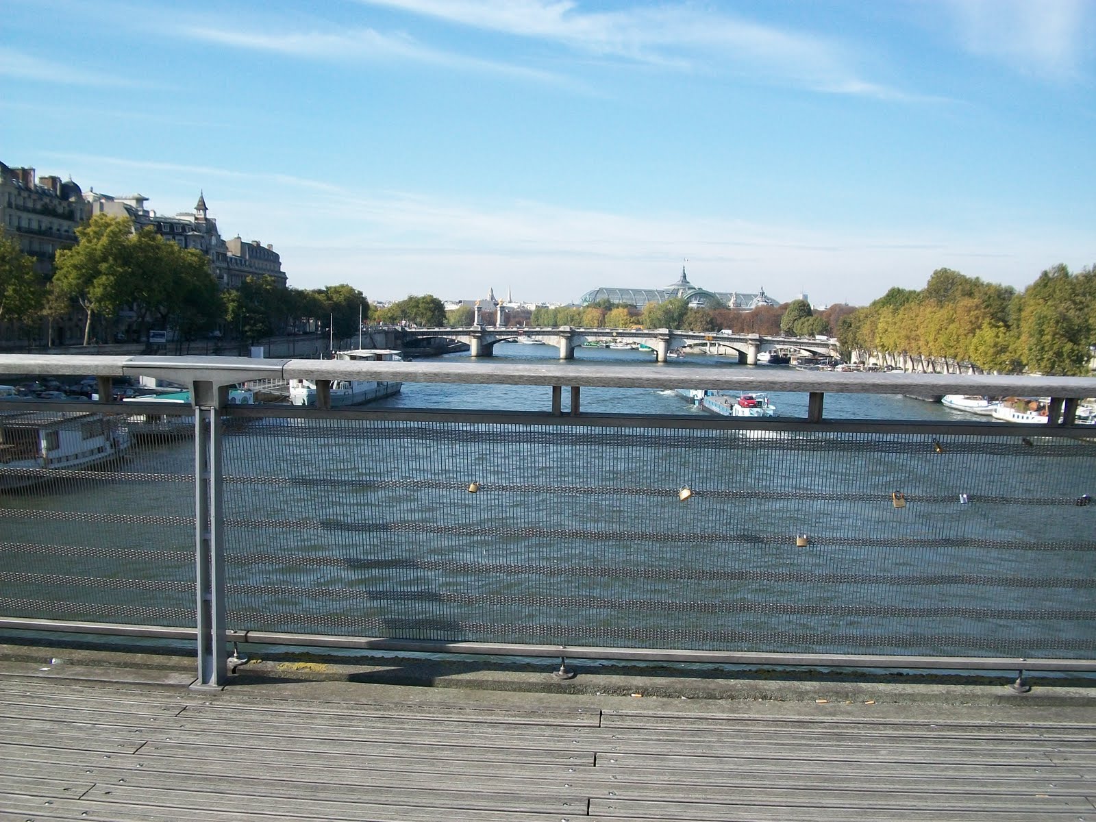 Bridge Trek: Bridges of Paris: Passerelle Leopold-Sedar-Senghor