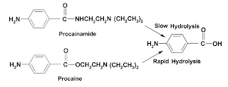 concepts in drug metabolism: Summary of Lecture III