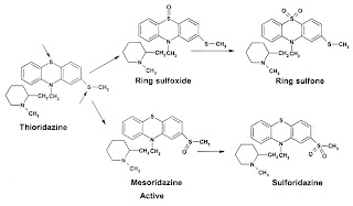 concepts in drug metabolism: Summary of Lecture III