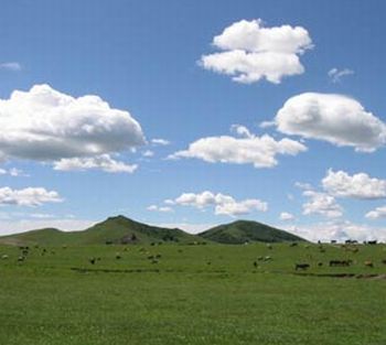 Environmental protection - Definition and key issues | Ecological Problems