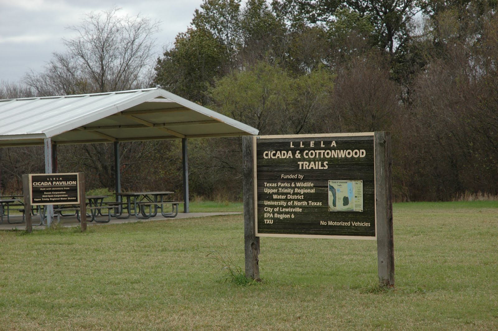 Savor The Days: LLELA