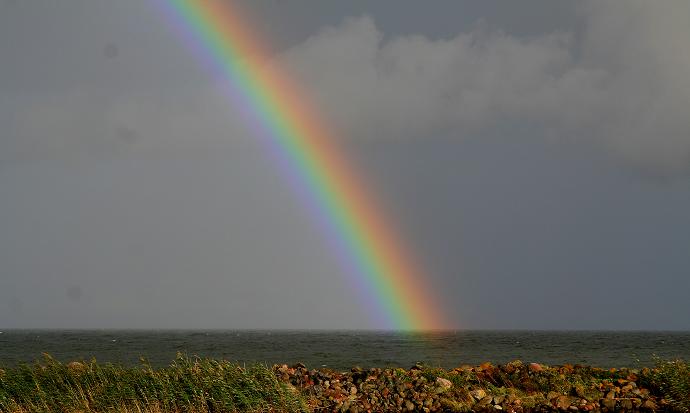 ruhnu päevik: Vikerkaar