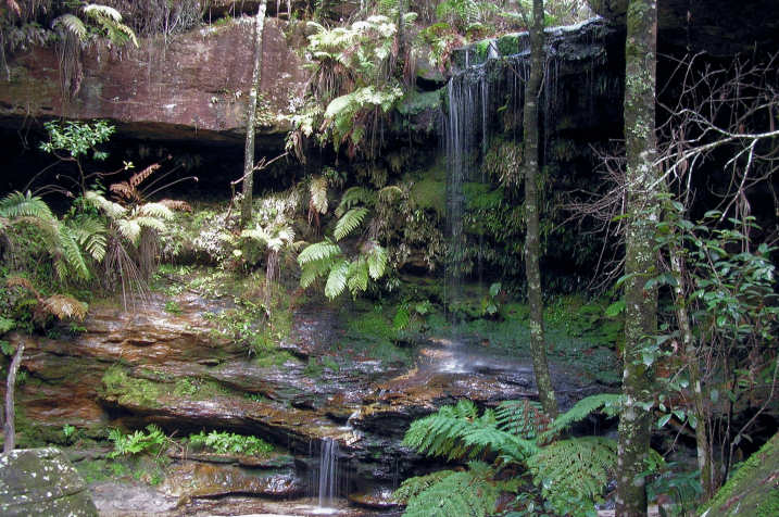 Hazelbrook Walk | Our Walks