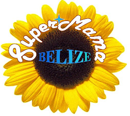 Brenda - A Belizean Poet