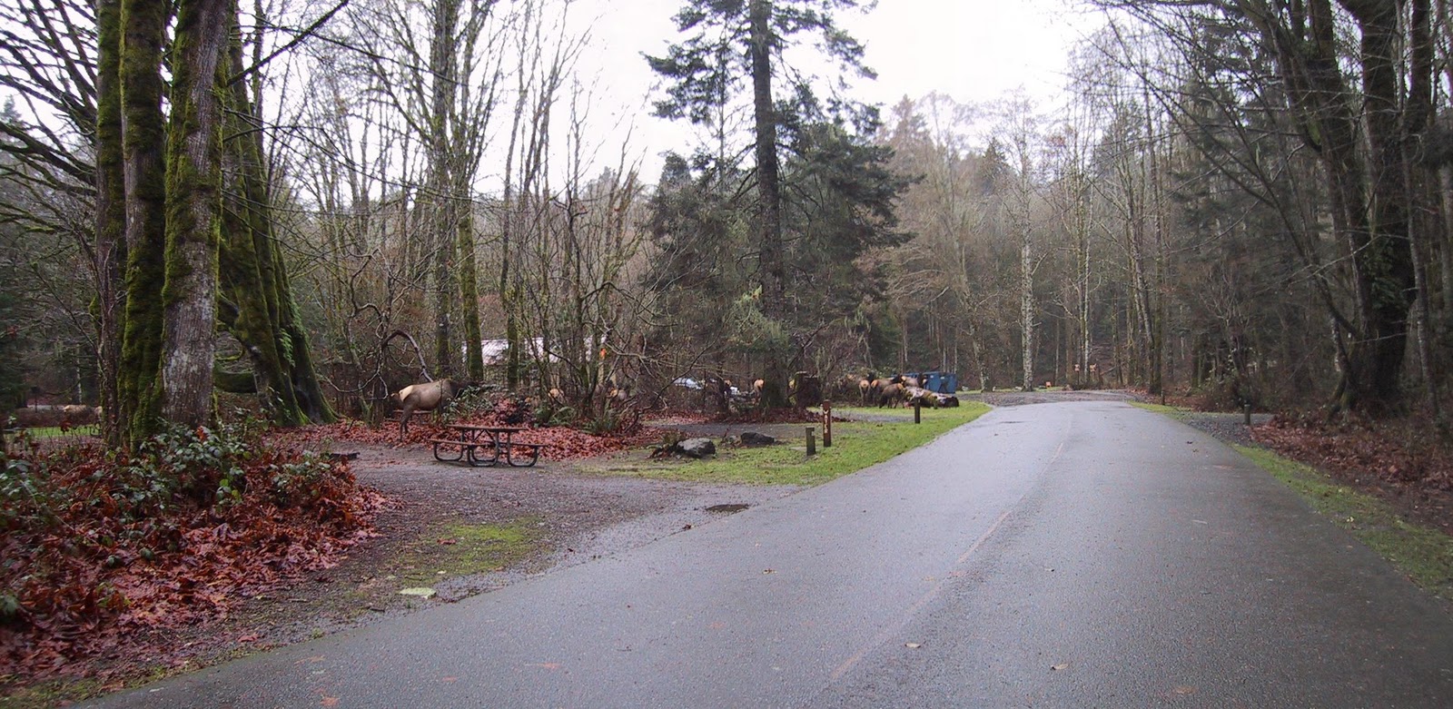 RVing Toadless: WORKAMPING WITHOUT A TOW CAR