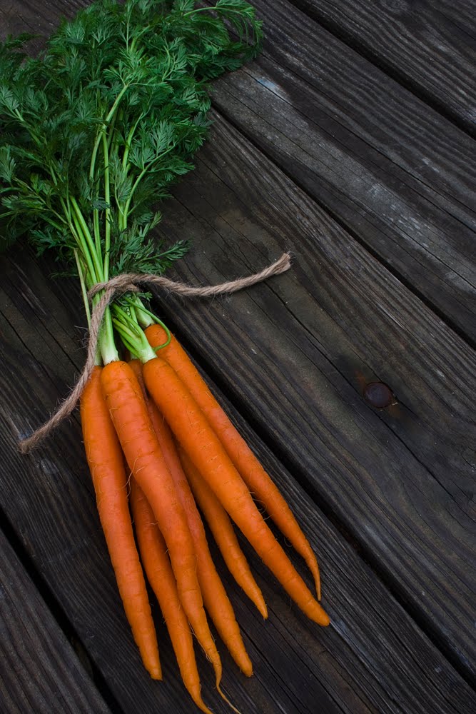 Adam Murray Photography