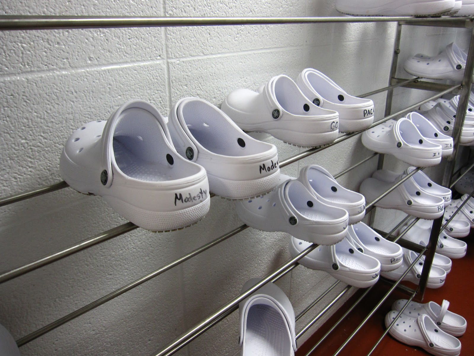 Madame Fromage: Wisconsin Cheese Coma