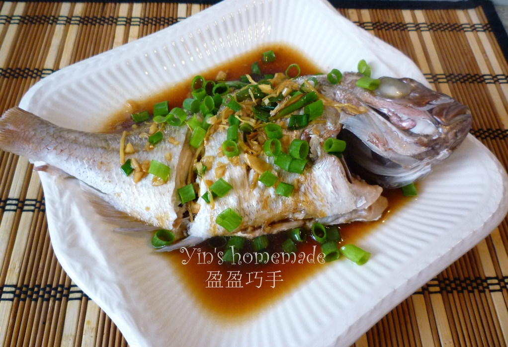 Yin's homemade 盈盈巧手: Steamed Snapper with Ginger and Spring Onions姜葱蒸鲷鱼 ...
