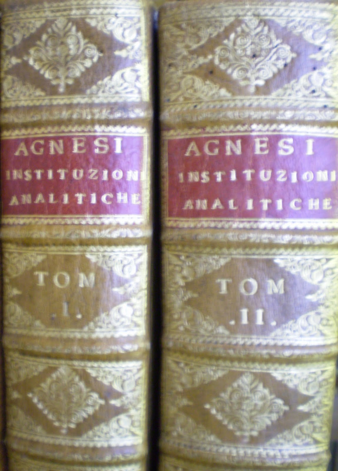 Maria Gaetana Agnesi & Family: About Maria Gaetana