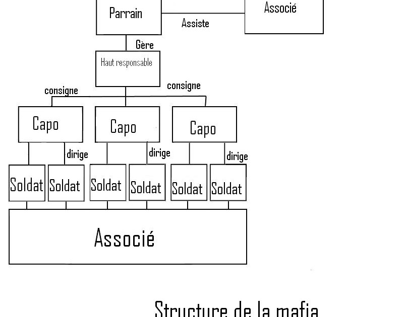 TPE : Les Mafias Italiennes.: Structure de la mafia