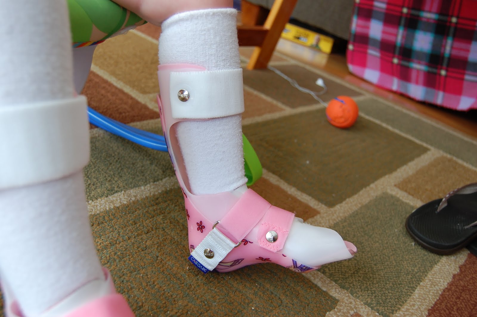 Eve of discovery: Eve's DAFOs