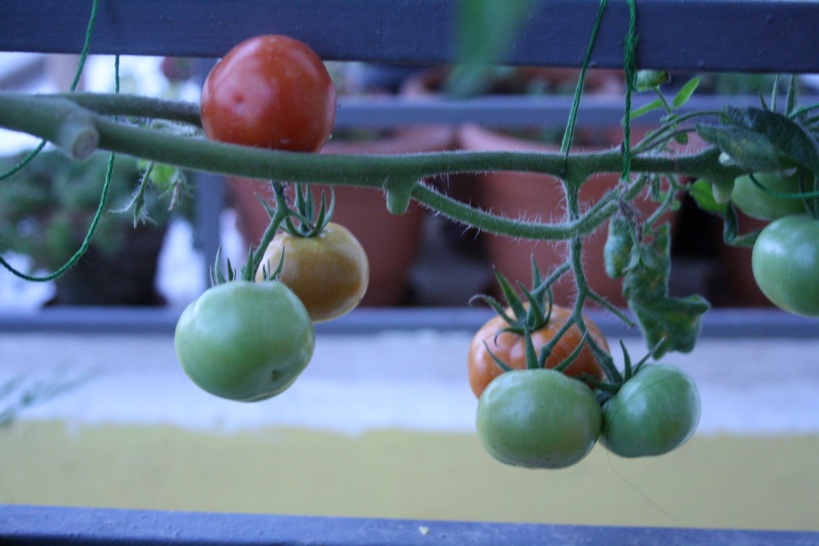 A lifetime in this warm cocoon....