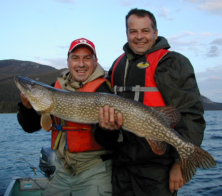 Yukon Pike | PikeFirst