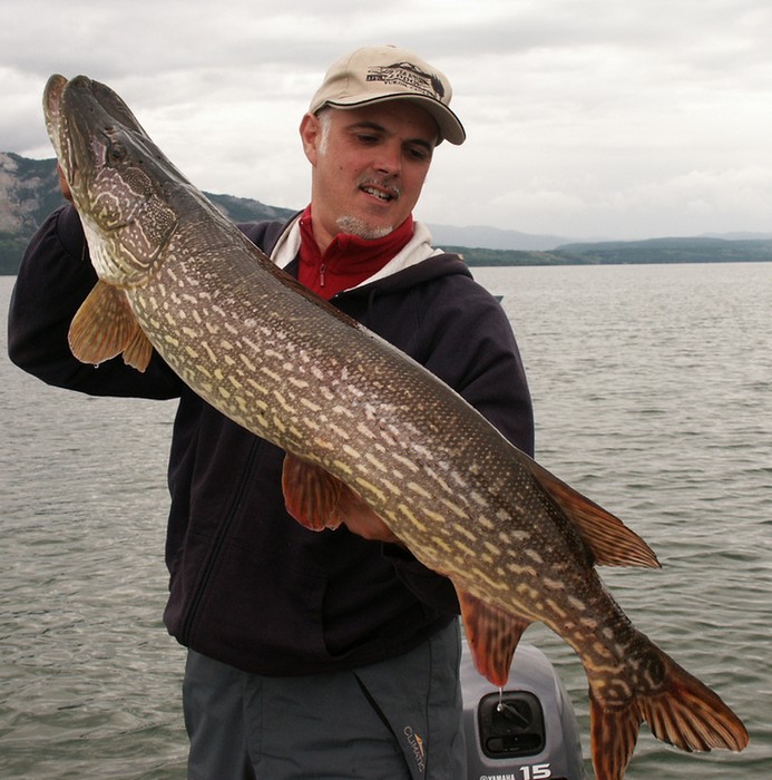 Yukon Pike | PikeFirst