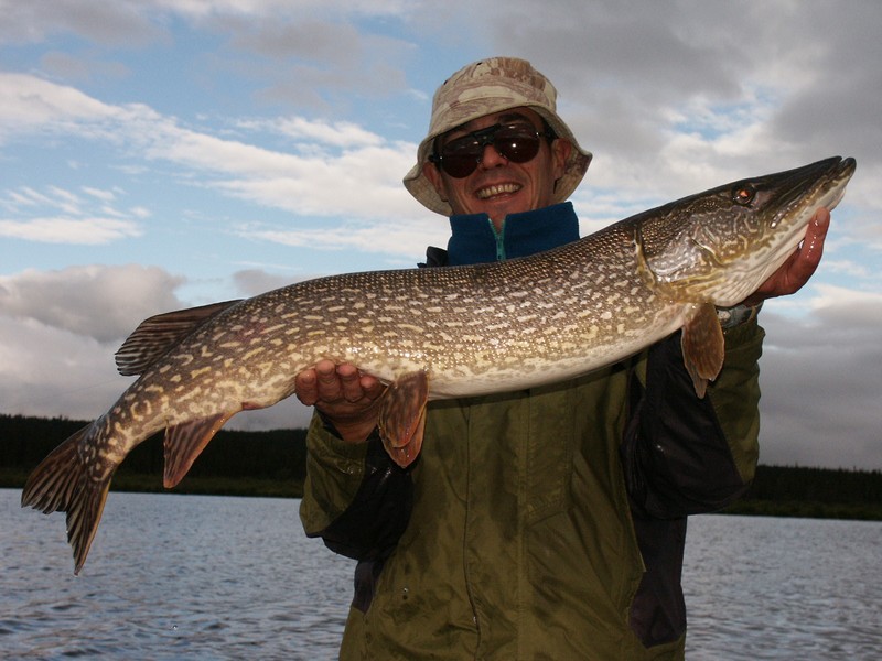 Yukon Pike | PikeFirst