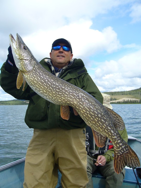 Yukon Pike | PikeFirst