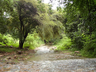 Travel fables: Muthathi