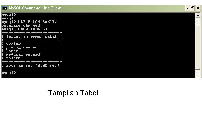 KING: DATABASE RUMAH SAKIT MENGGUNAKAN SQL