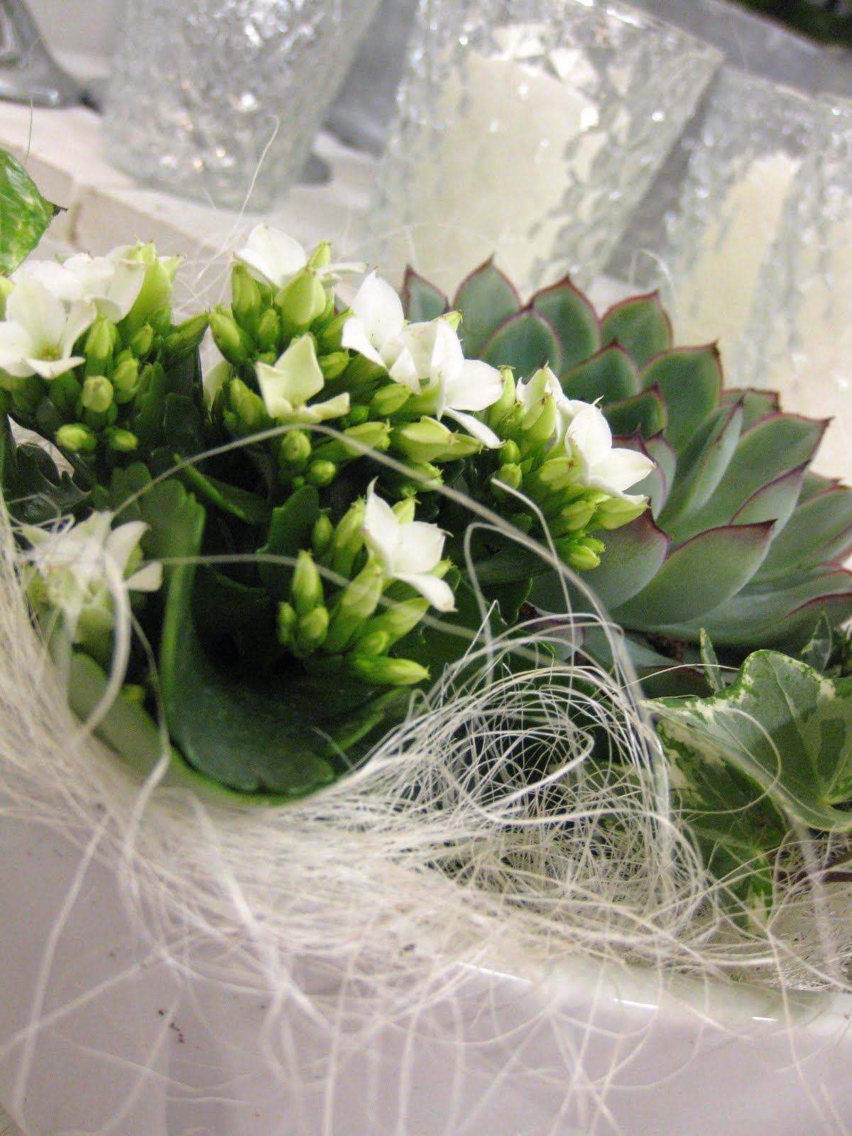 Petterssons: Julblommor